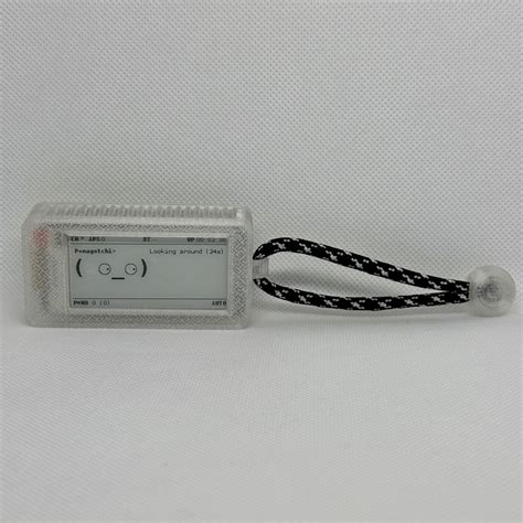 Pwnagotchi Buy Pwnagotchi Pwnagotchi Kit What Is A Pwnagotchi Biscuit Shop Pwnagotchi Buy Pwnagotchi Pwnagotchi Kit What Is A Pwnagotchi Biscuit Shop