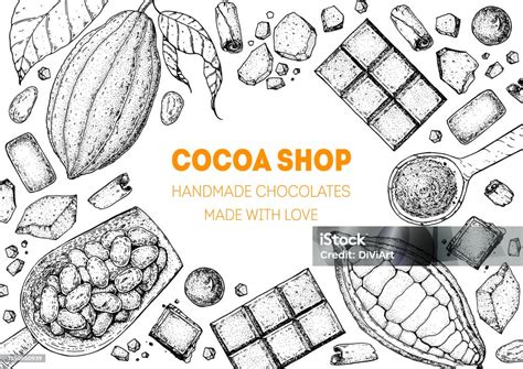 코코아 포드와 코코아 제품 벡터 그림입니다 슈퍼 푸드 프레임 초콜릿 스케치 일러스트레이션을 위한 요리와 재료를 호콜라합니다