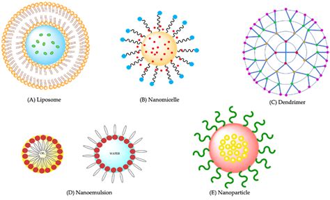Schematic Representation Of Common Nanocarriers A Liposome B Download Scientific Diagram