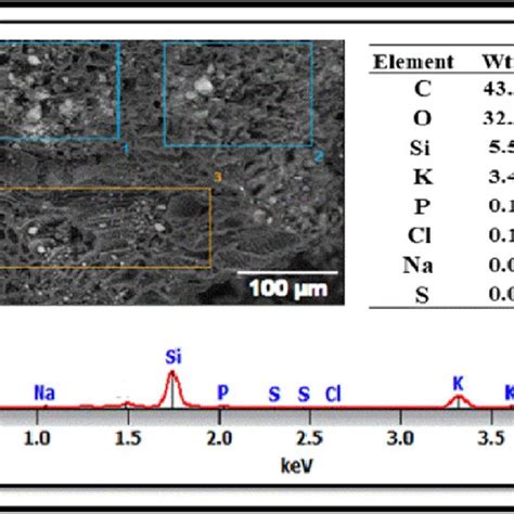 Scanning Electron Microscopy Sem And Elemental Composition Of Si Rich