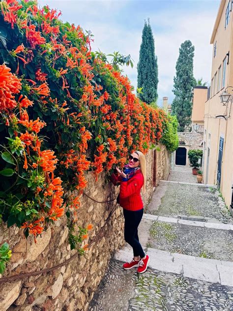 🌷Пролетно пре нареждане🌷 Пролетта дойде внезапно и както обикновено за… Prof Daniela Ilieva Phd
