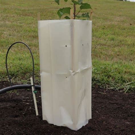 Tree Guards Corn Starch Sleeve Biodegradable Sage Horticultural