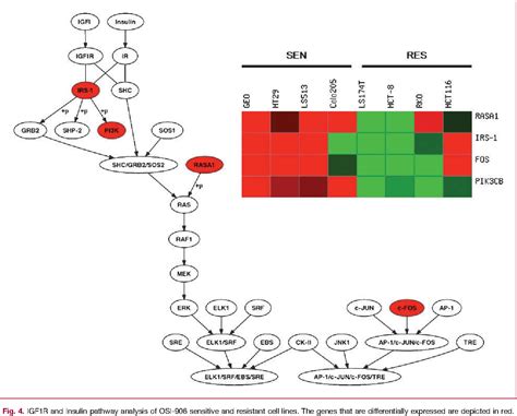 Figure 4 From Development Of An Integrated Genomic Classifier For A Novel Agent In Colorectal