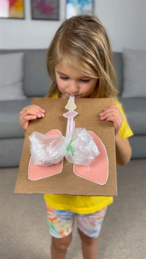 10 สิ่งประดิษฐ์วิทยาศาสตร์ง่าย ๆ สำหรับเด็กประถม