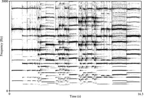Spectrogram 02 3 Khz Of The First Phrases Of The Estampie Retrove