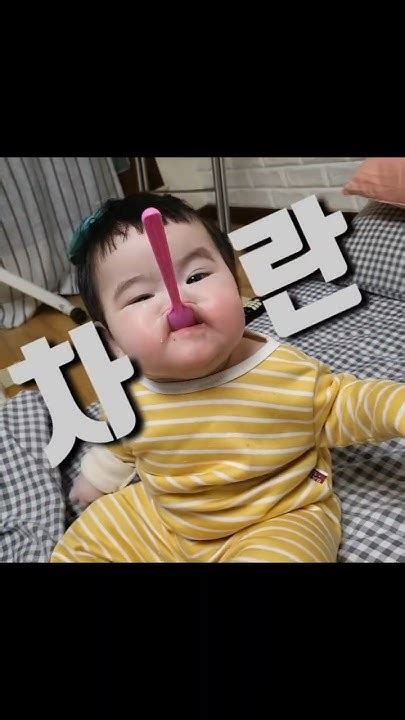 묘기부리는 아기 Youtube