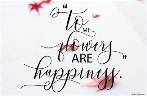 Download Violetta Script Font Fontsme Com