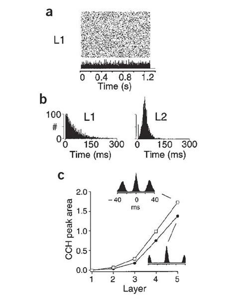 Synchrony Dependent Propagation Of Firing Rate In Iteratively Constructed Networks In Vitro