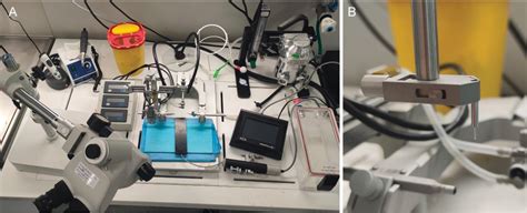 Figure 5 From Using Fiber Photometry In Mice To Estimate Fluorescent