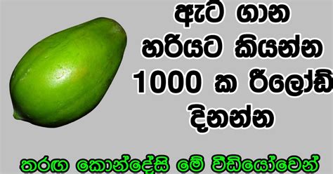 ඇට ගාන කියලා 1000 ක රීලෝඩ් දිනාගන්න