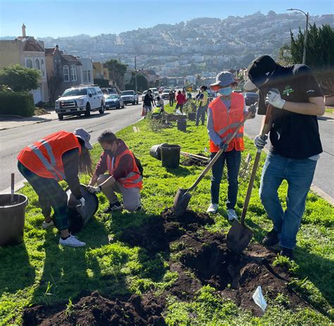 Minimizing Tree Losses Maximizing Tree Love