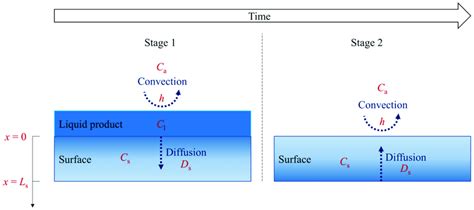 Schematic Representation Of The Model To Predict The Primary Emission