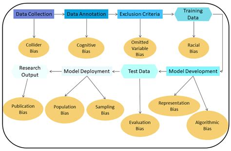 Biases Introduced In The Different Phases Of Ai Model Development For