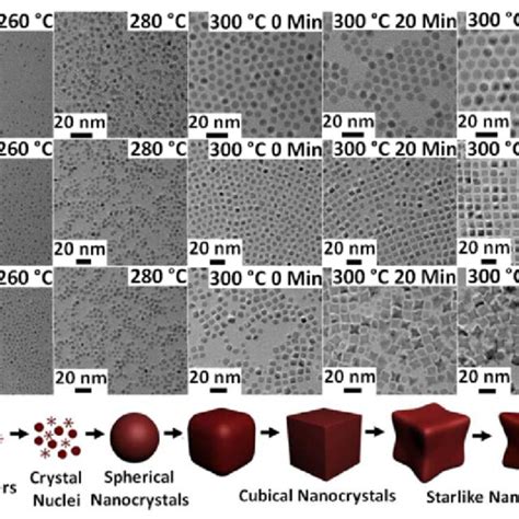 Tem Micrograph Of Mn Zn Ferrite Nanocrystals Collected From The
