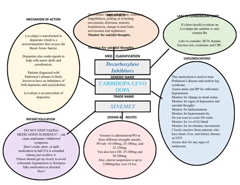 Medication Concept Map Template Editable 1 Nur 116 T1 Studocu