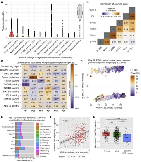 Large Scale Differentiation Of Ipsc Derived Motor Neurons From Als And Control Subjects Neuron