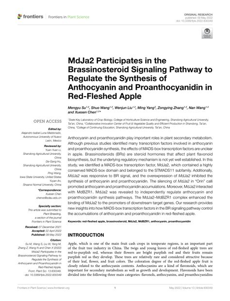 Pdf Mdja2 Participates In The Brassinosteroid Signaling Pathway To