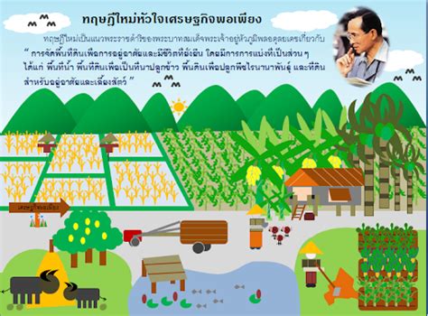 Sufficiency Economy Details Ninenovel