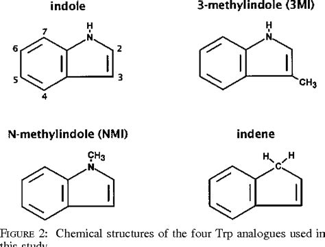 Tryptophan Semantic Scholar
