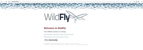 How To Install Wildfly Java Application Server With Nginx Reverse Proxy