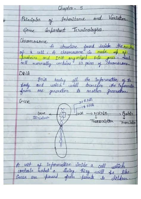 Solution Principal Of Inheritance Studypool