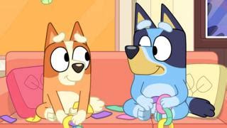 Bluey Cbeebies Bbc