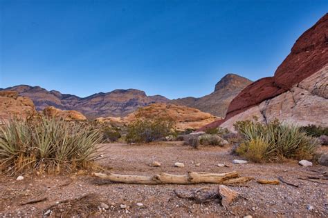 Scenery Photos Sunrise At Red Rock Canyon Mojave Desert Nevada