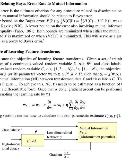 Learning Feature Transforms By Maximizing The Mutual Information