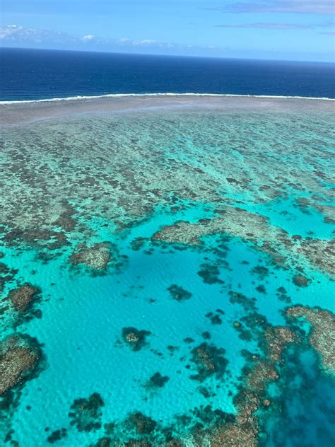 줌줌 후기 그레이트 배리어 리프 체험 스쿠버다이빙스노클링헬기옵션 다운언더ducd 송예