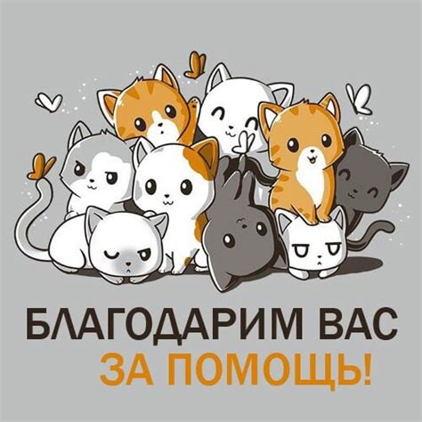 Ура друзья Мы вышли на финишную прямую Почти два месяца мы лечили котят от кальцивироза и