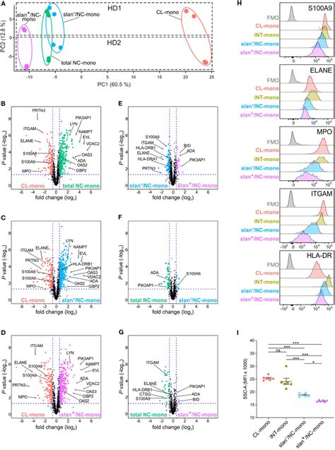 ScRNA Seq Experiments Of Monocyte Subgroups A UMAP Of ScRNA Seq Download Scientific Diagram