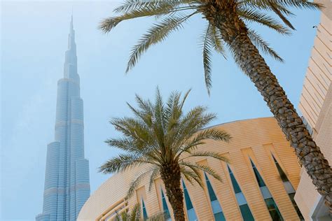 Unified Identification Number Uid In The Uae