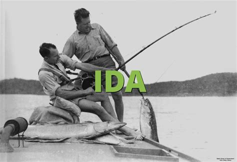 IDA Meaning Slang Org