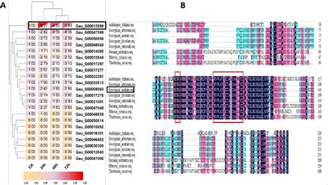 Expression And Sequence Analysis Of Gauerf105 A Fpkm Based Expression Download Scientific