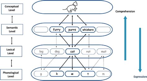 Interactive Activation Model Of Language Processing Download Scientific Diagram