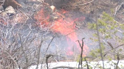 The Importance Of Prescribed Burns