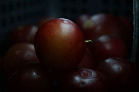 검은 색 배경에 물방울이 있는 바구니에 신선한 붉은 육즙이 많은 자두를 클로즈업합니다 사츠마 빨간 자두의 클로즈업 샷 가을에 대한 스톡 사진 및 기타 이미지 Istock