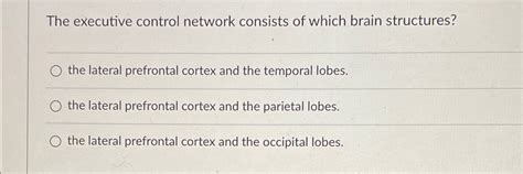 Solved The Executive Control Network Consists Of Which Brain