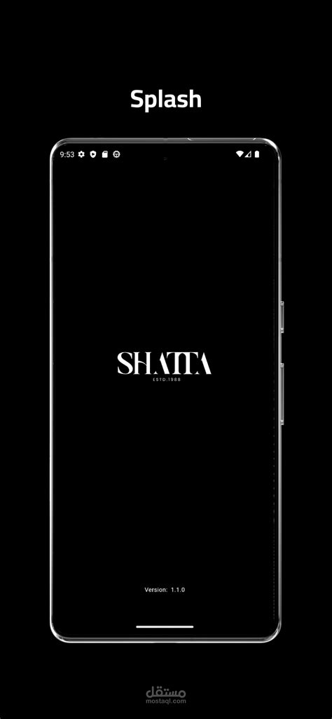 Flutter Developer مستقل