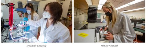 Protein Extraction And Structural And Functional Characterization Plant Protein Innovation Center