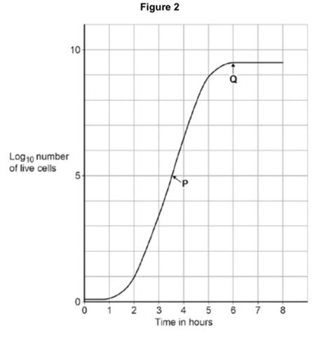 Cell Structure Flashcards Quizlet