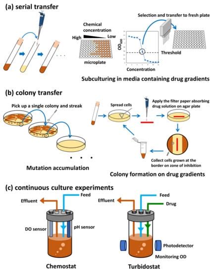 Adaptive Laboratory Evolution Of Microorganisms Methodology And
