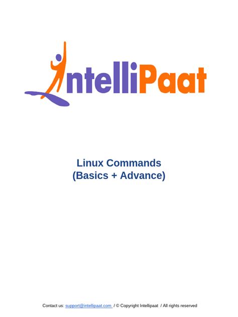 Linux Command Basics Advance Pdf Zip File Format Directory