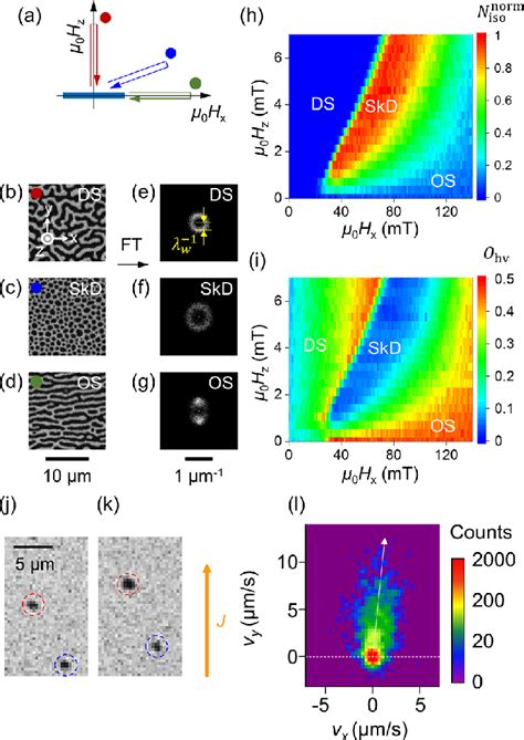 Various Magnetic Domain Structures Formed By External Magnetic Fields Download Scientific