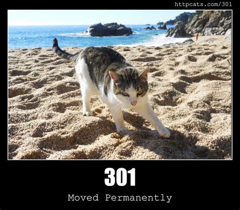 301 moved permanently status code and cats