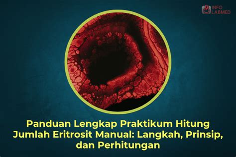 Panduan Lengkap Praktikum Hitung Jumlah Eritrosit Manual Langkah