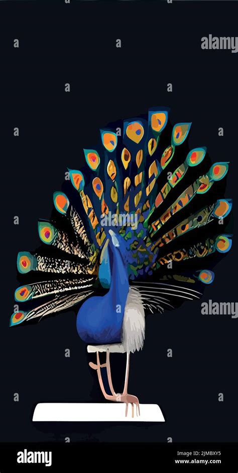 Peacock With Open Tail Stock Vector Images Alamy