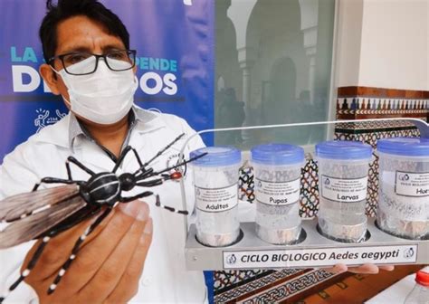 Dengue 15 Regiones En Alerta Por Alarmante Brote