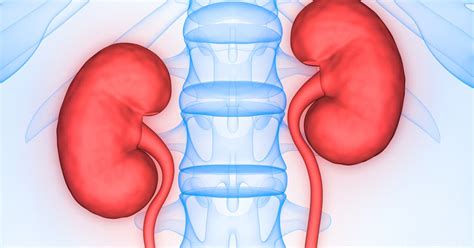 Algorithm Uses Genetic Markers To Predict Diabetic Kidney Disease