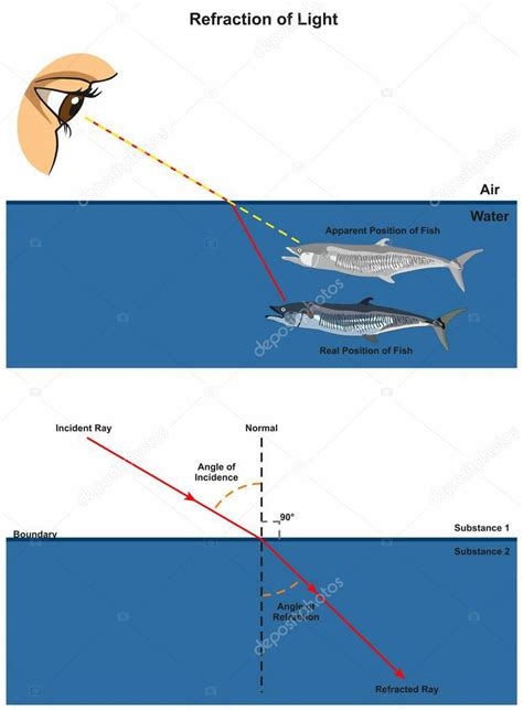 Refraction Of Light Infographic Diagram With An Example Of Human Eye